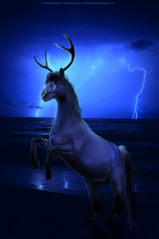 Blue Night — Postimages