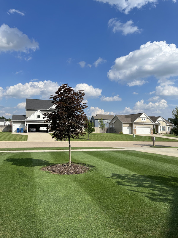 8142 A098 ED34 4 A1 F 9040 DC7 D117 D8 ACF — Postimages