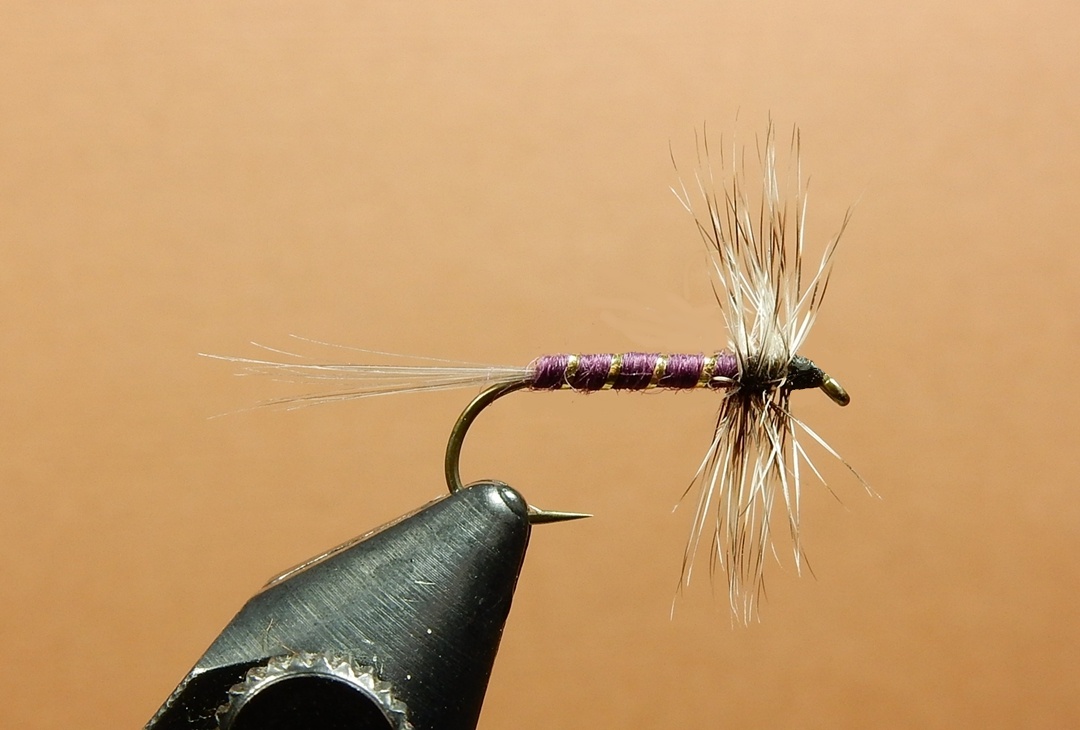 Gray Hackles - Fly Tying - Maine Fly Fish