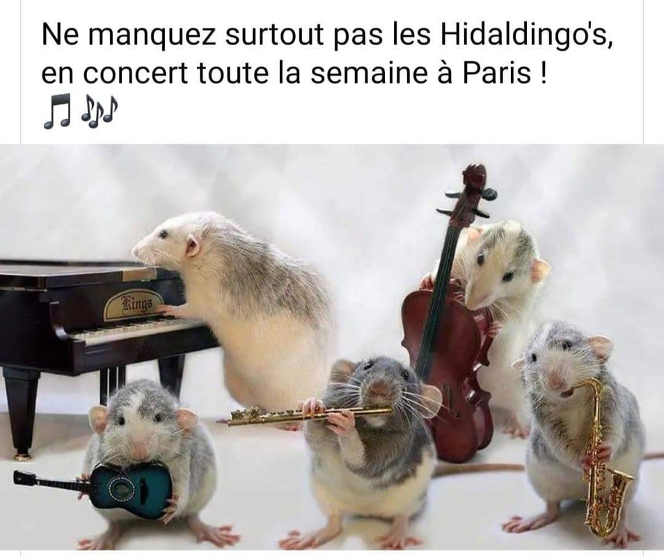 B50375 DE AAC0 4 D8 A A93 E FA239 BAB3629 — Postimages