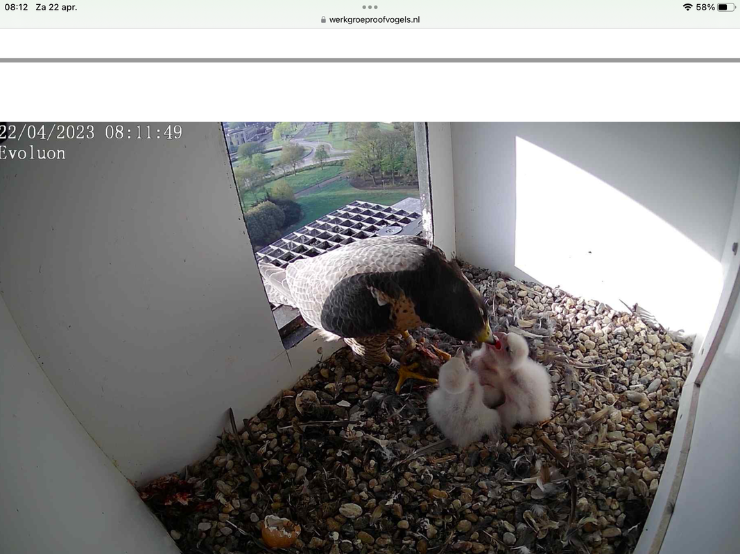 IMG 8648 — Postimages