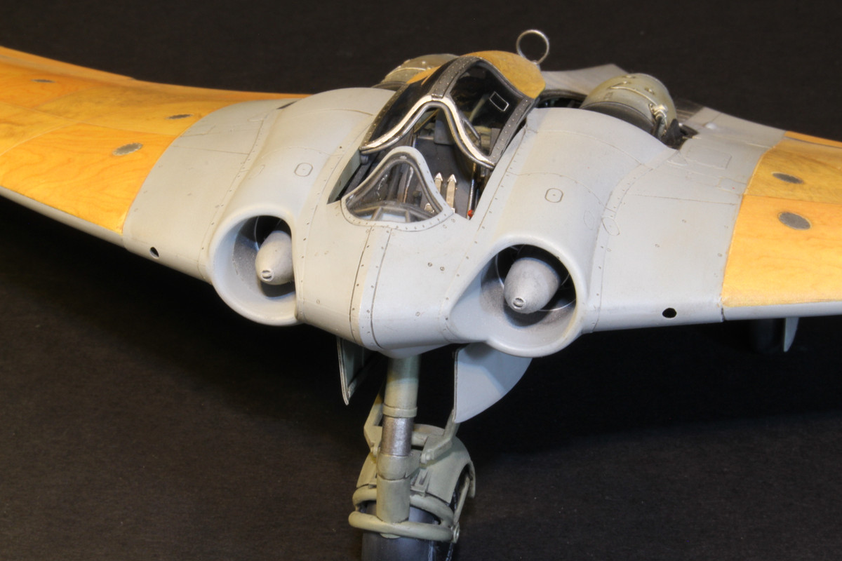Ho-229 v3 - Ready for Inspection - Large Scale Planes
