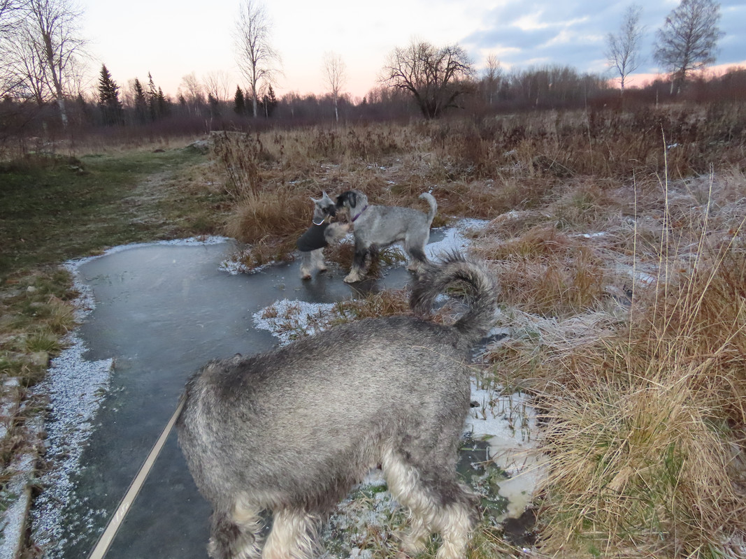 IMG 0016 — Postimages