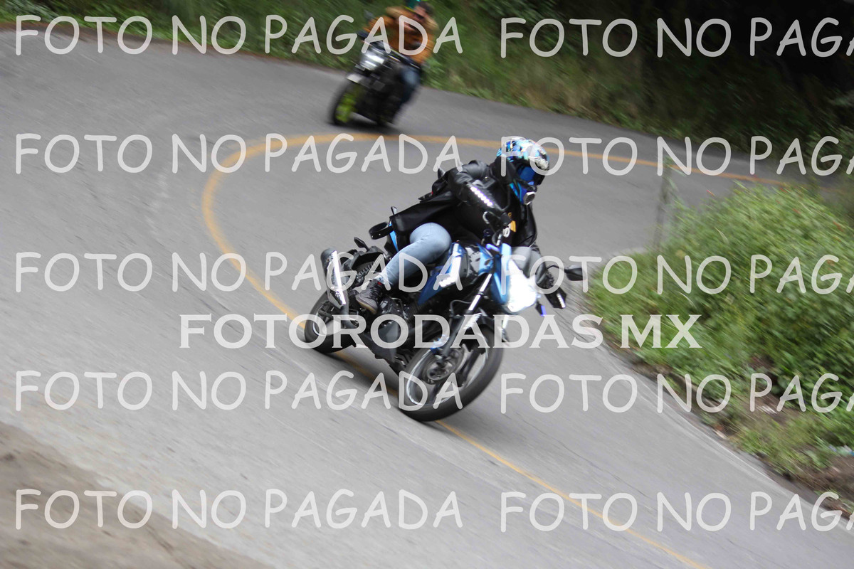 IMG 1384 — Postimages