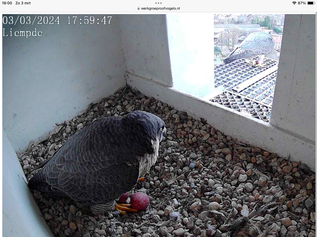 IMG 9763 — Postimages