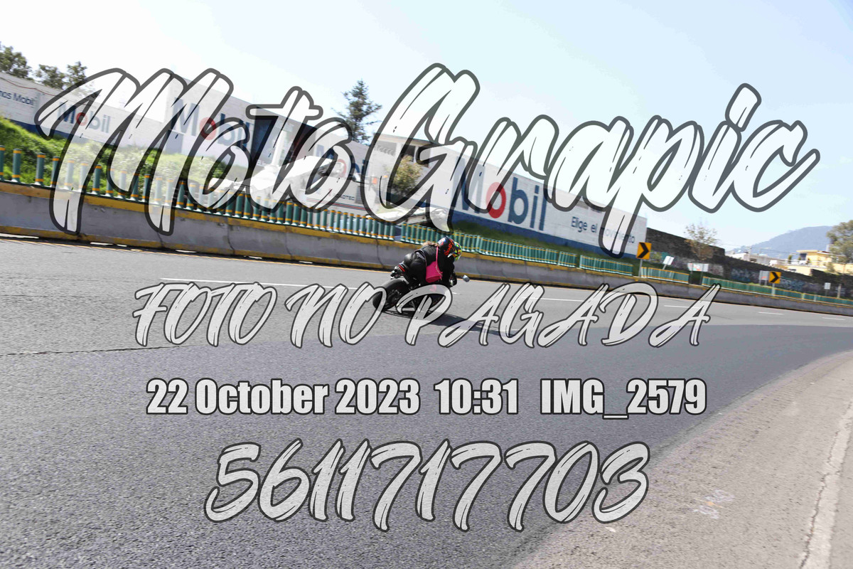 motgr IMG 2579 — Postimages