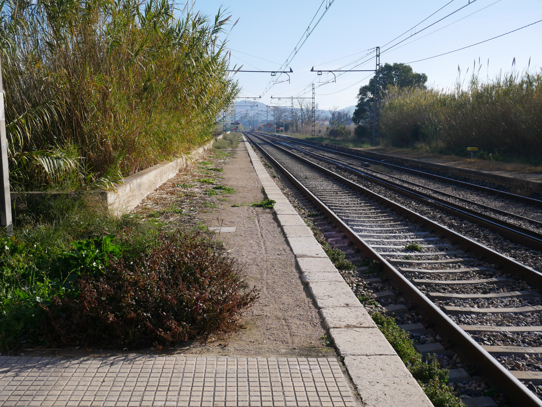 2023 Enero (61) — Postimages