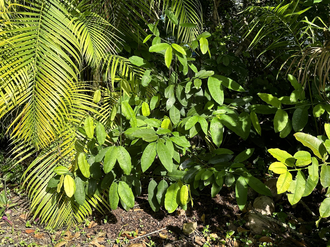 temp Image R4 Z80 C — Postimages