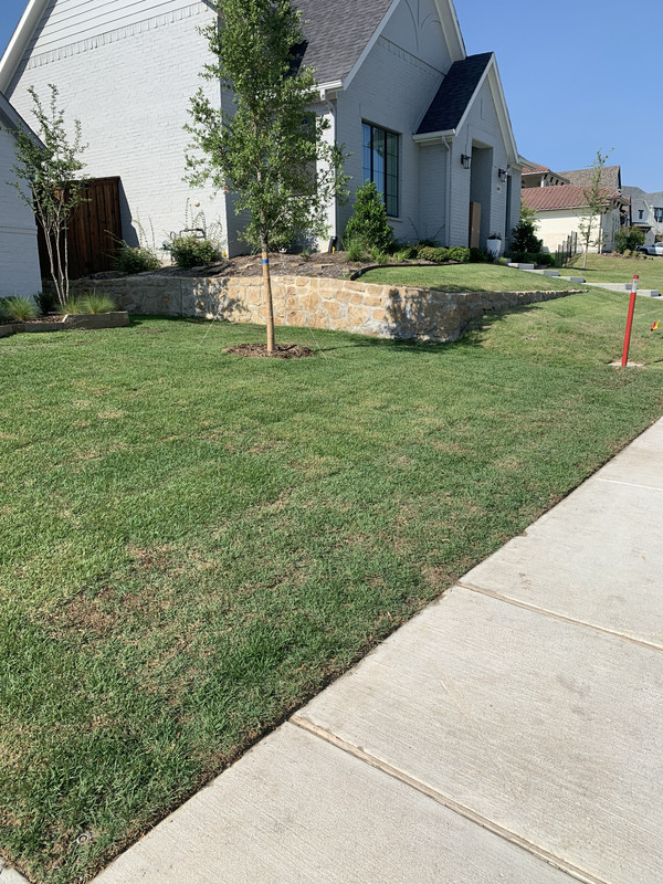 IMG 3176 — Postimages