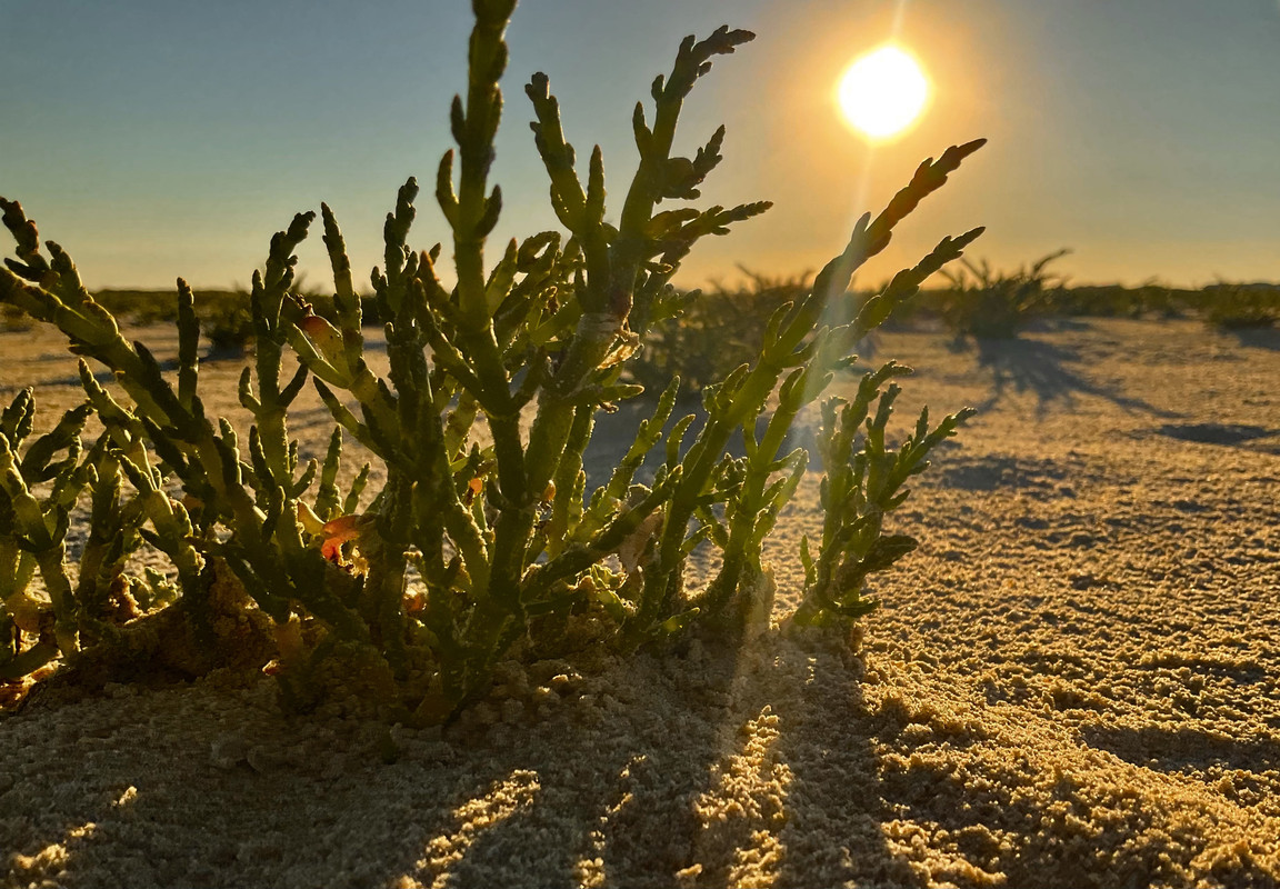 919 B6 B6 C CA68 4 C6 D B687 EDD4 ED75 F7 B6 — Postimages