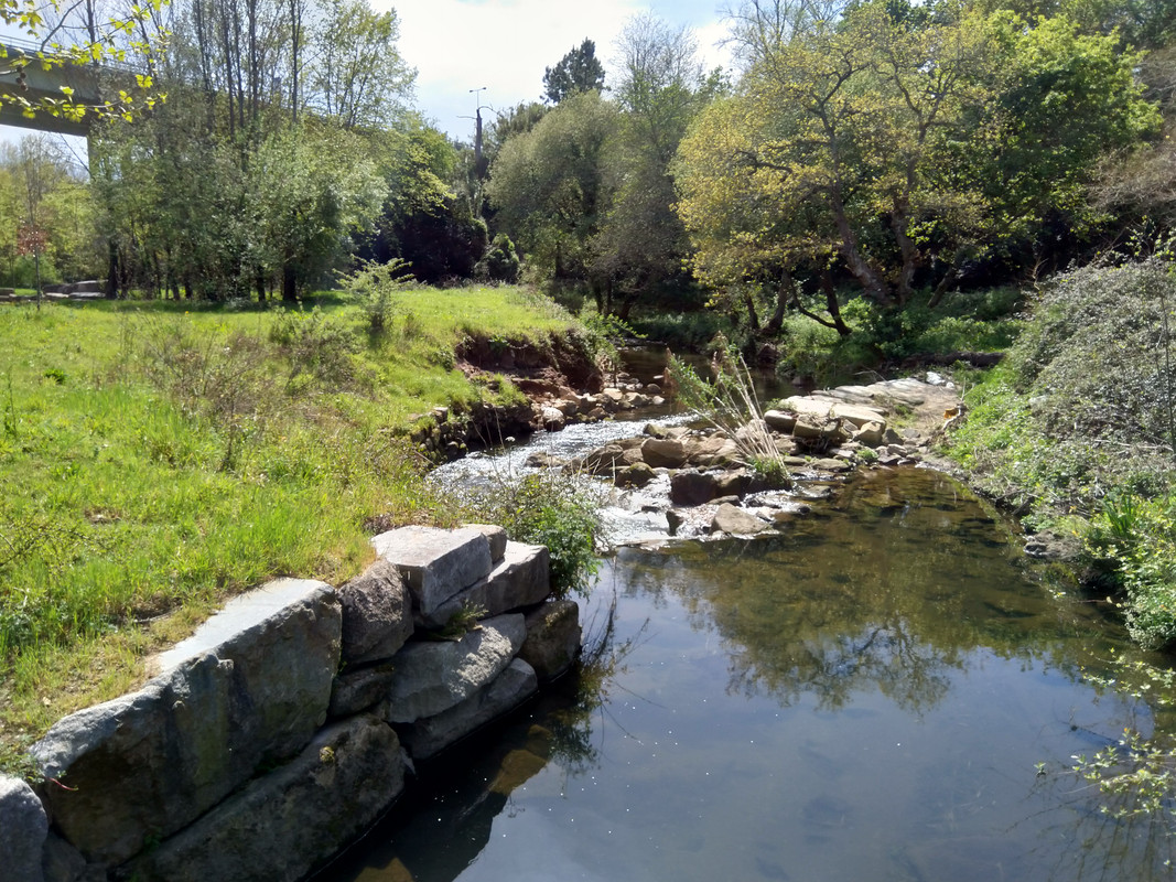 IMG 20230404 151038 — Postimages