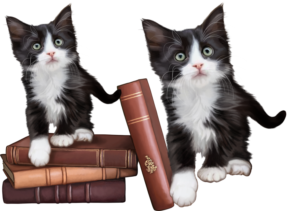 GATTI Tubes per grafica in PNG