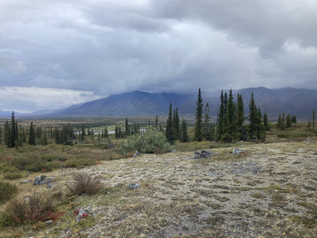 96 A4 CD65 4 DD1 4 F94 ACF3 C161 CA839142 — Postimages