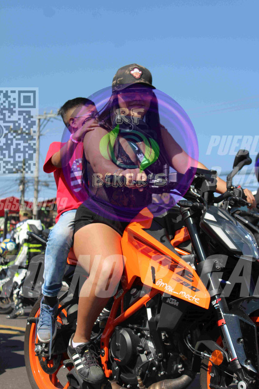 batch IMG 1953 — Postimages