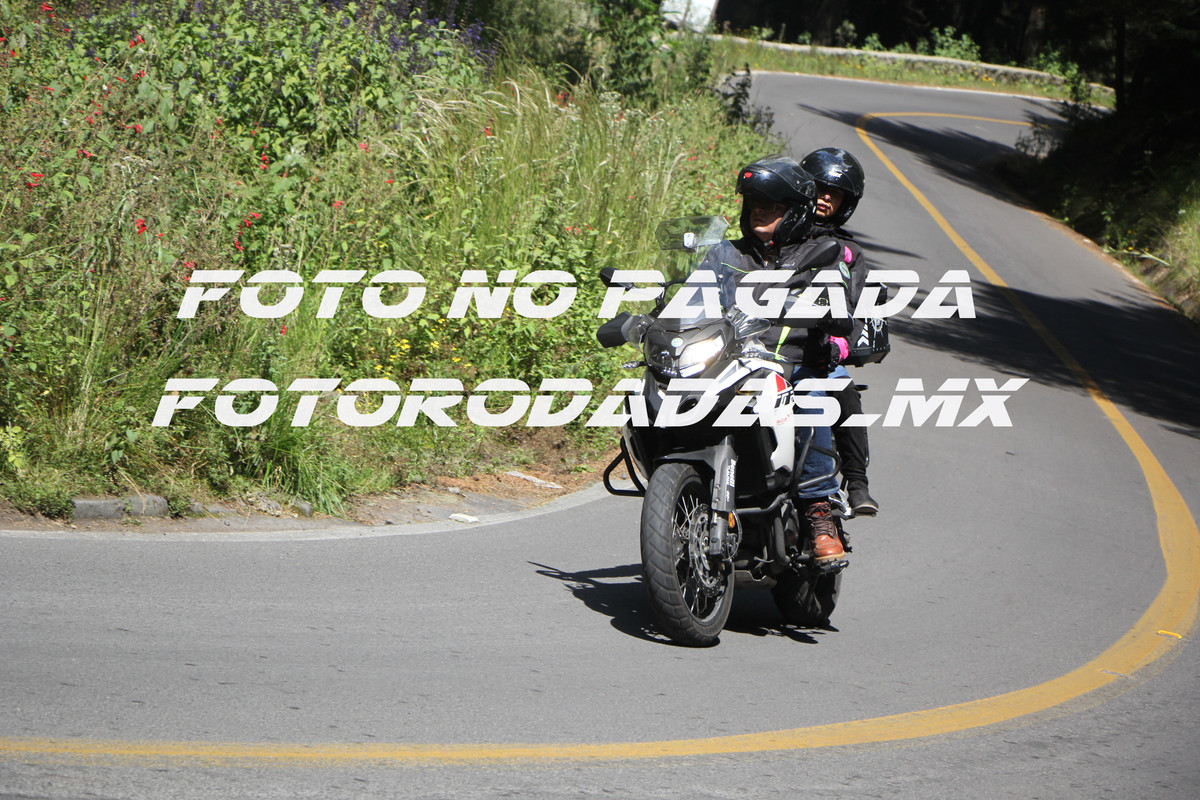 IMG 7048 — Postimages