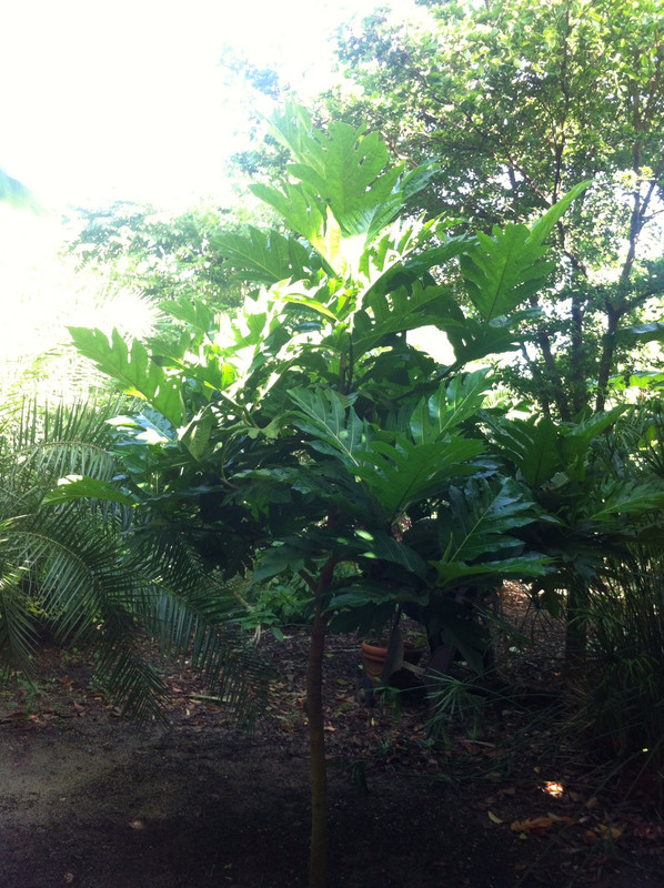 IMG 0109 — Postimages