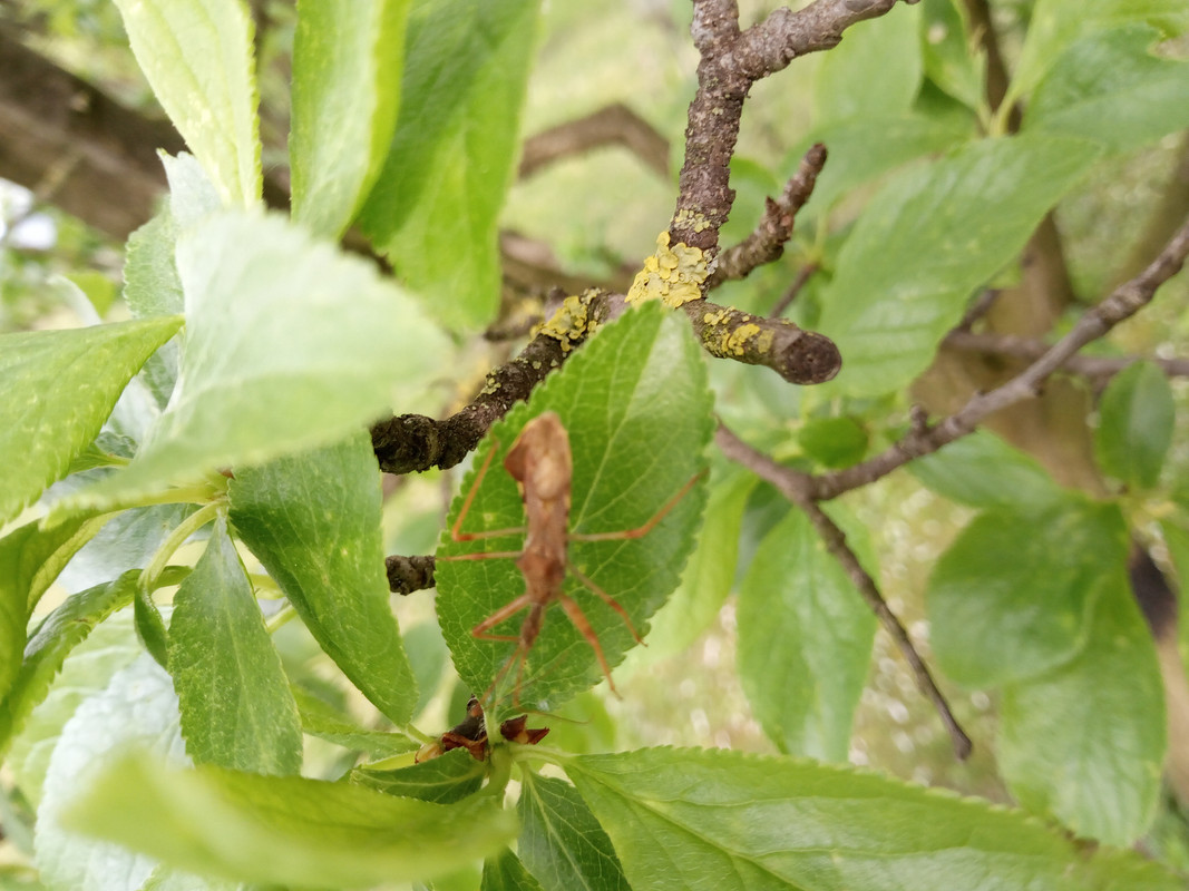 IMG 20230428 160534 259 — Postimages