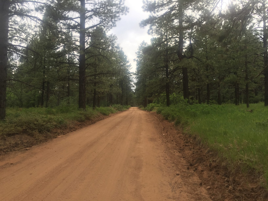 IMG 7579 — Postimages