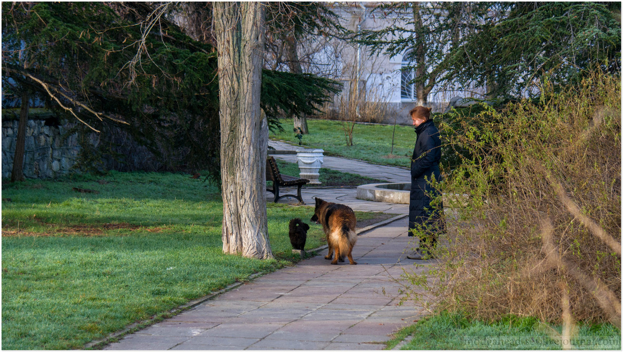 SAM 1009 — Postimages