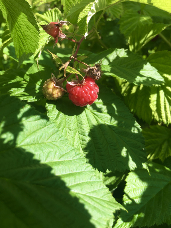 0 C5 CD853 1 DB6 40 E2 999 C 1 E1 F1 BF4 FE55 — Postimages