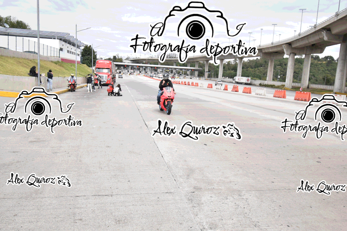 AVQ 7934 — Postimages