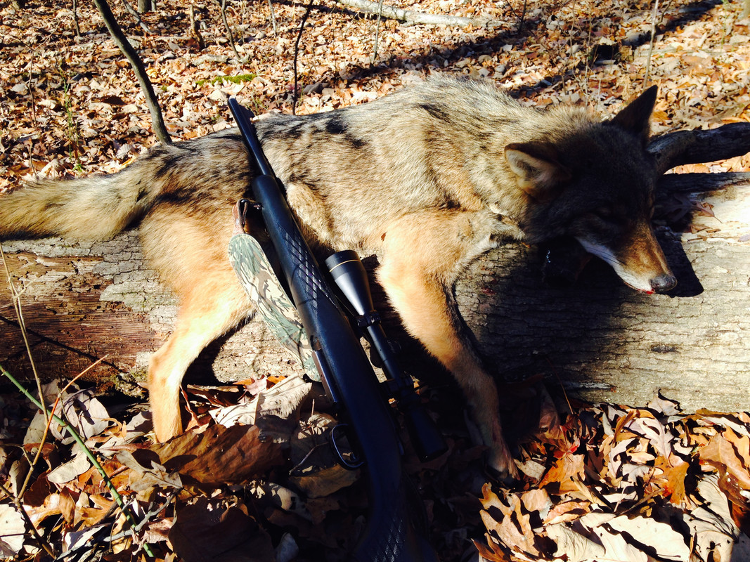 F7 EF320 A 8 FEC 4 CE0 8 E6 A A45 F520 A47 AF — Postimages