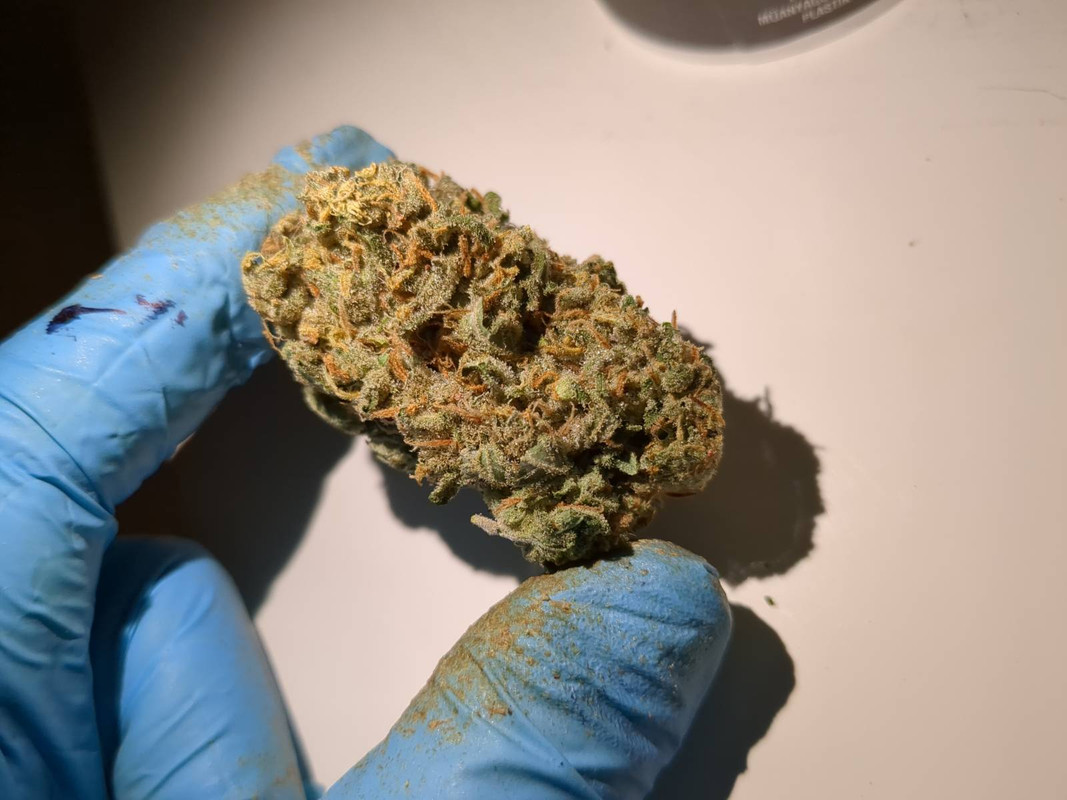 signal 2023 03 24 21 26 49 792 2 — Postimages