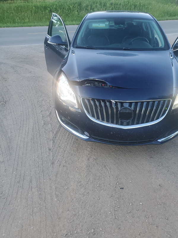 Auto vs Deer in my beater commuter car. Will a claim impact my ...