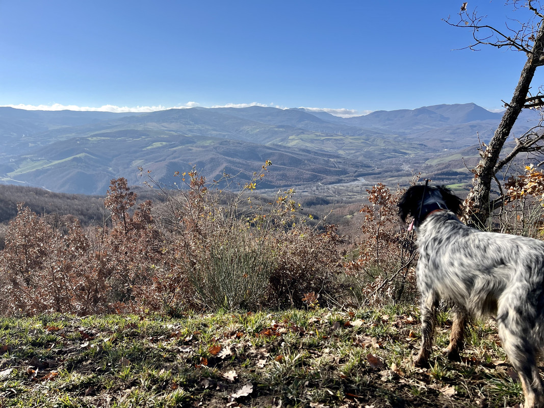 E0 Fe5910 02 C3 47 Fb A6 Ea 146 D989706 E4 — Postimages