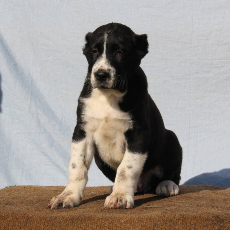 IMG 9448 24 10 20 12 35 — Postimages