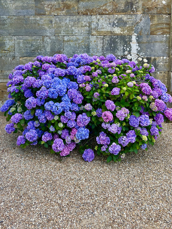 Full Size Render — Postimages