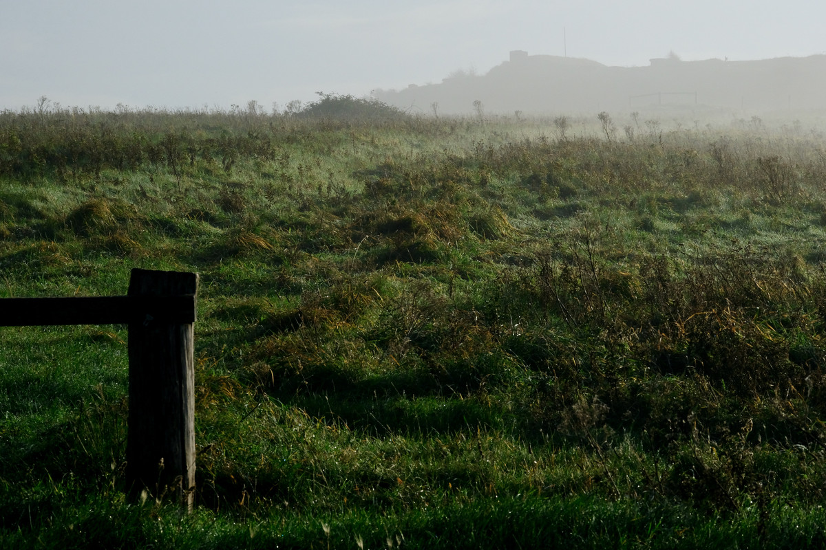 DSCF2272 — Postimages