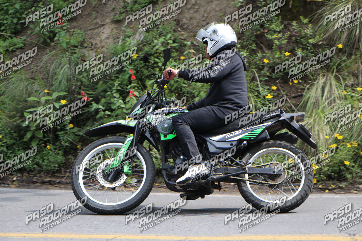 IMG 9002 wm 1182624 9 watermarked — Postimages