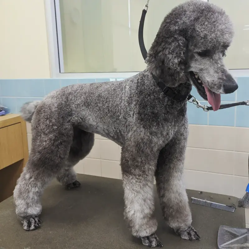 IMG 20230901 192855 820 — Postimages