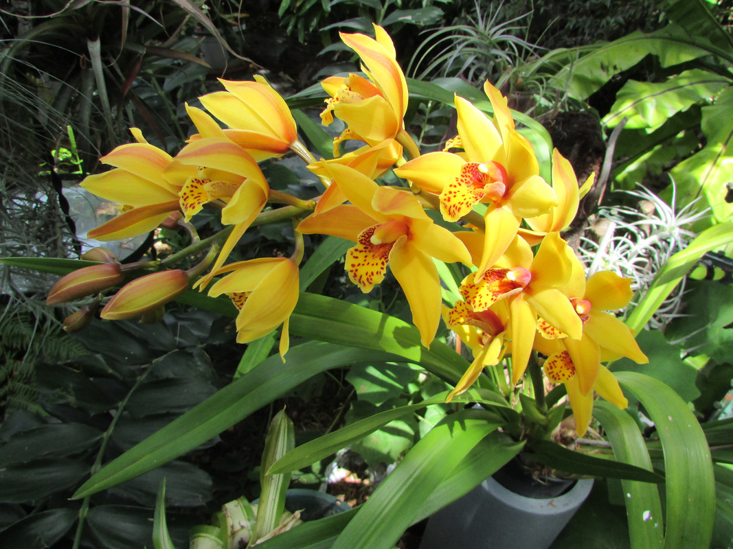 IMG 2075 — Postimages