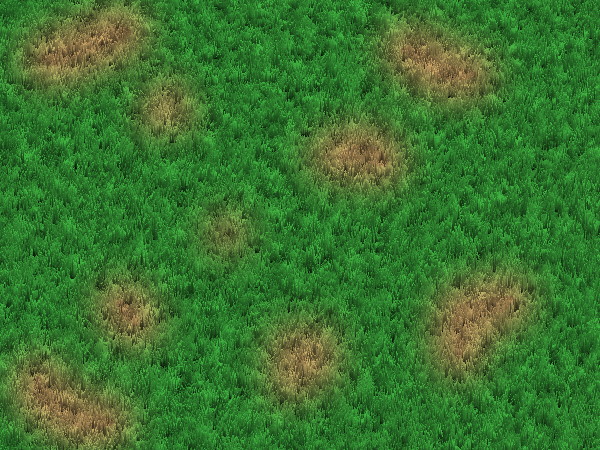 Simple Grass Texture - Textures - Paint.NET Forum
