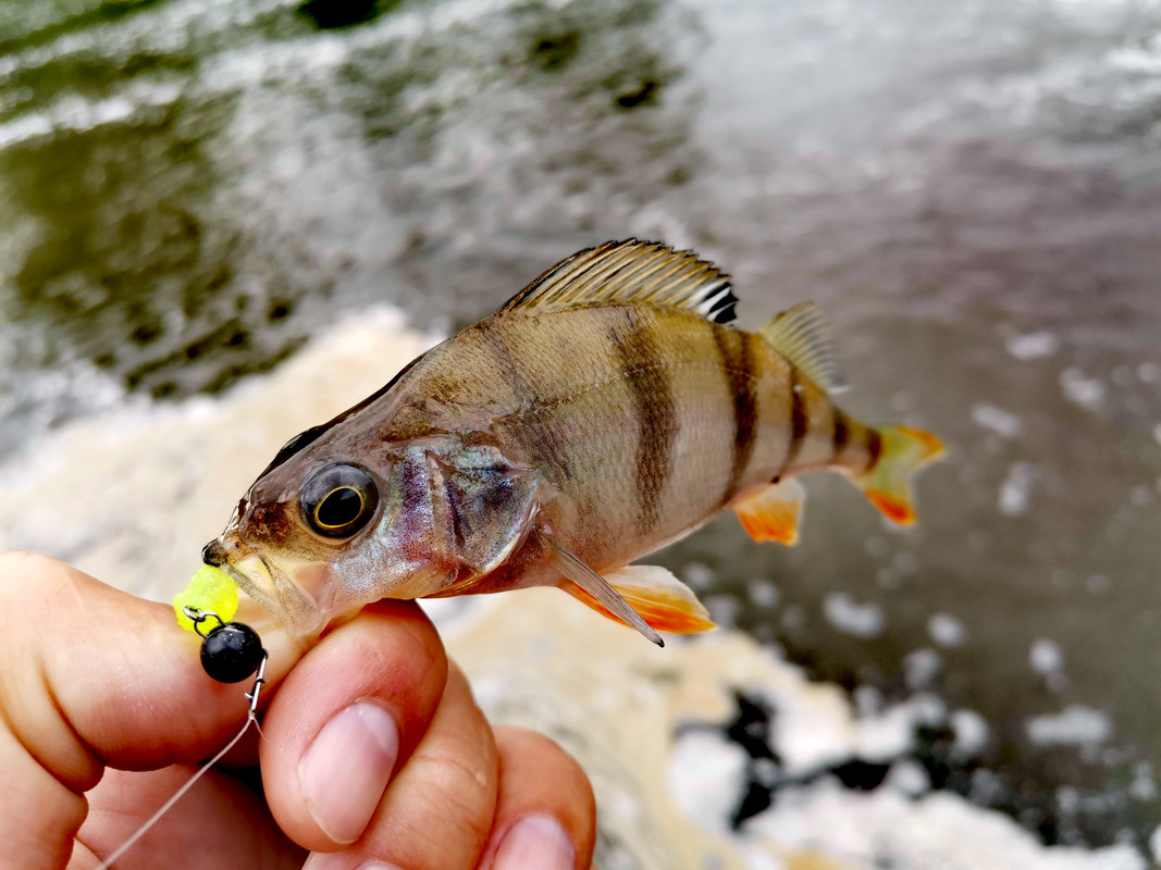 IMG 20200706 232403 — Postimages