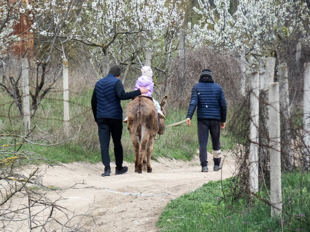 P1070543 1440 — Postimages