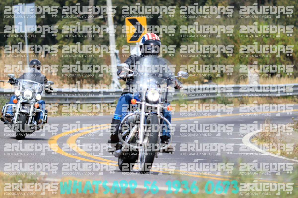 MG 1195 — Postimages