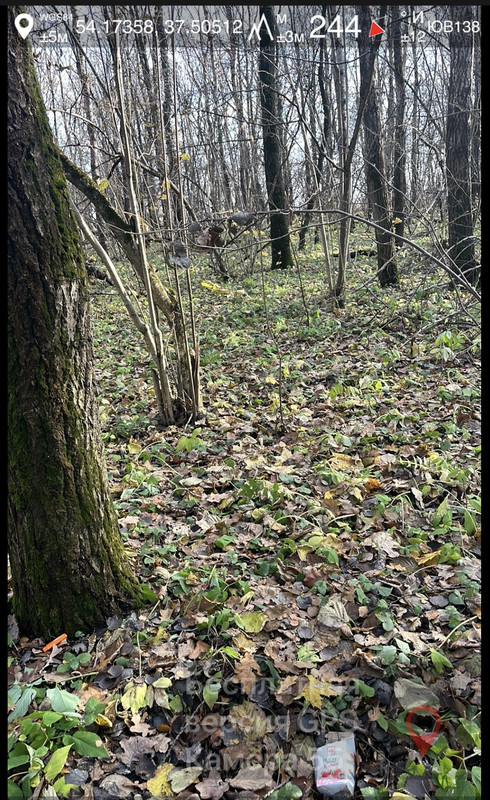 IMG 1831 — Postimages