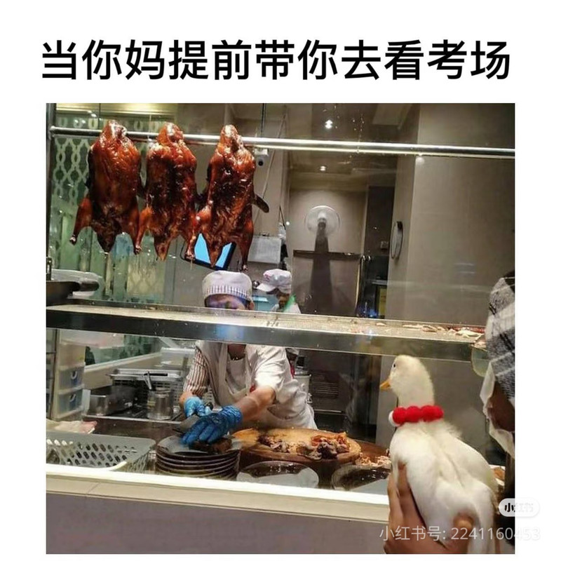 Camera 1040g3k831hssuh0gju705p6b019ip3jek7m02e8 — Postimages