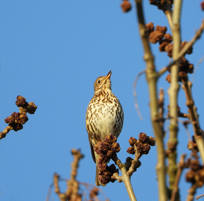 2025 032101 — Postimages