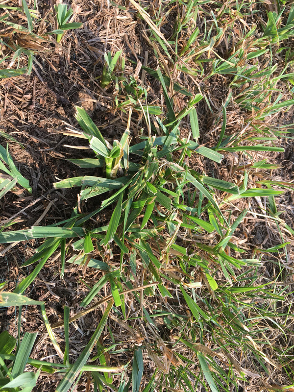 IMG 0752 — Postimages