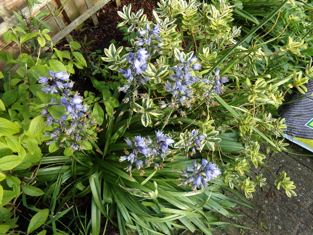 100 0219 — Postimages