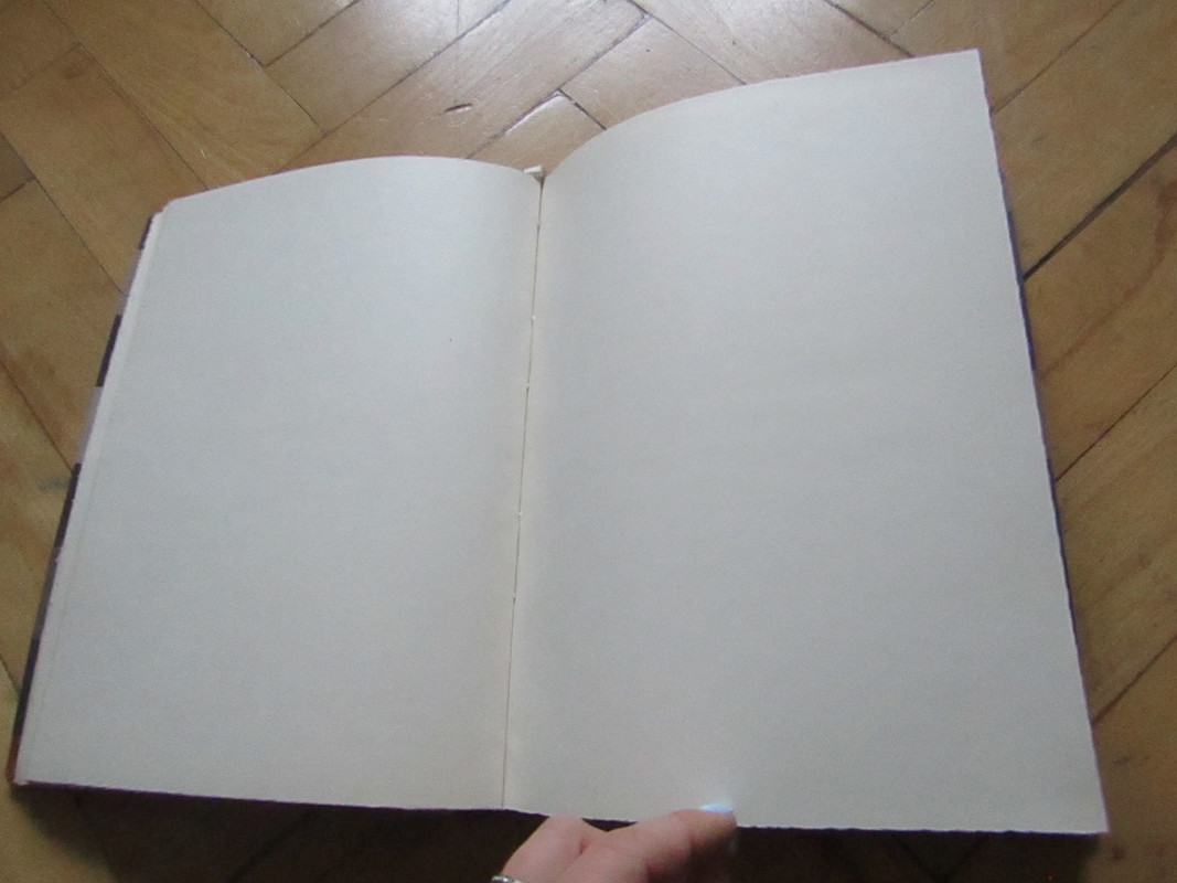 IMG 5376 — Postimages