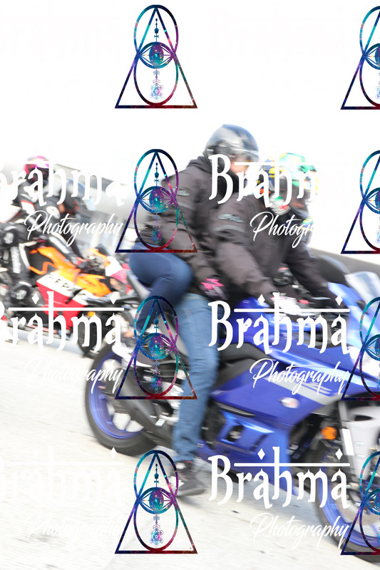 IMG 3336 — Postimages