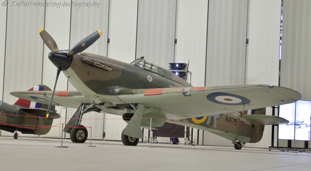 DSC 0563 Sharpen AI Motion — Postimages