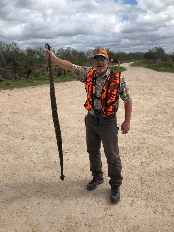 F8 B6 FF20 CFBC 449 A 9305 7 B852 AE84534 — Postimages