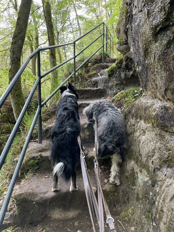 C2450 C71 02 F5 43 EA 9 F75 AE6496944 EED — Postimages