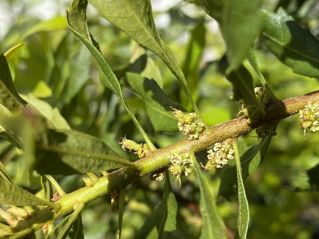 IMG 0360 — Postimages